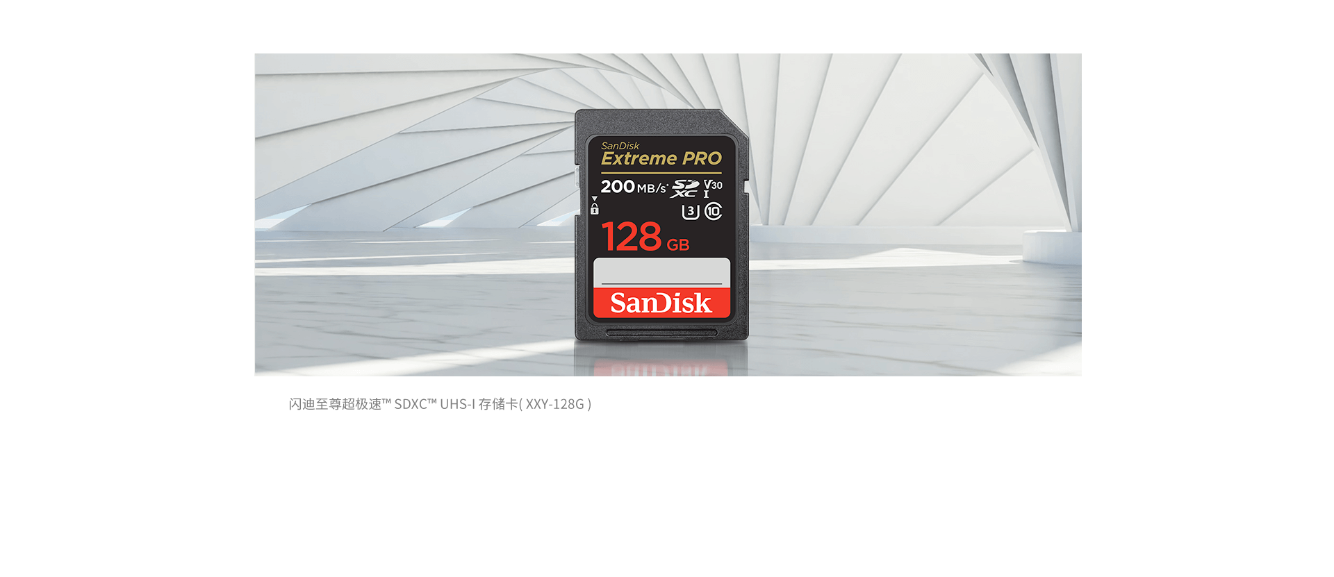 SanDisk闪迪京东自营旗舰店 - 京东