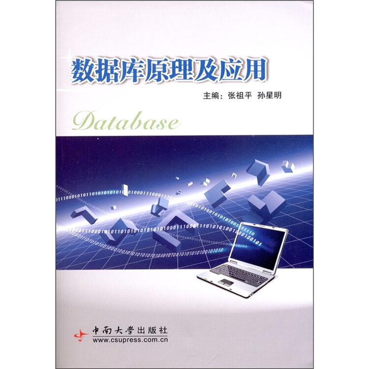 数据库原理及应用【图片 价格 品牌 评论】-京东