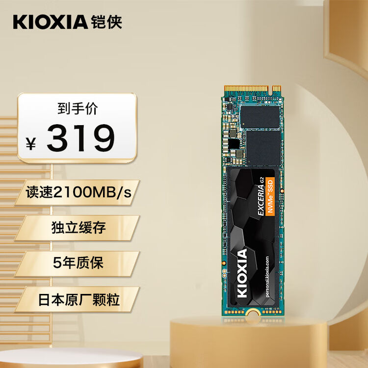  Kioxia 1000GB SSD NVMe M 2 EXCERIA G2 RC20 