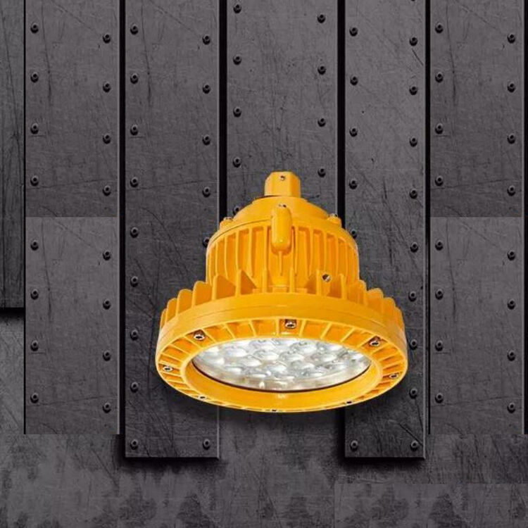 三雄极光pak LED隔爆灯具 隔爆防爆灯100W 6000K 吊杆式 黄色 PAK-LED-F121-100B-860【图片 价格 品牌 ...