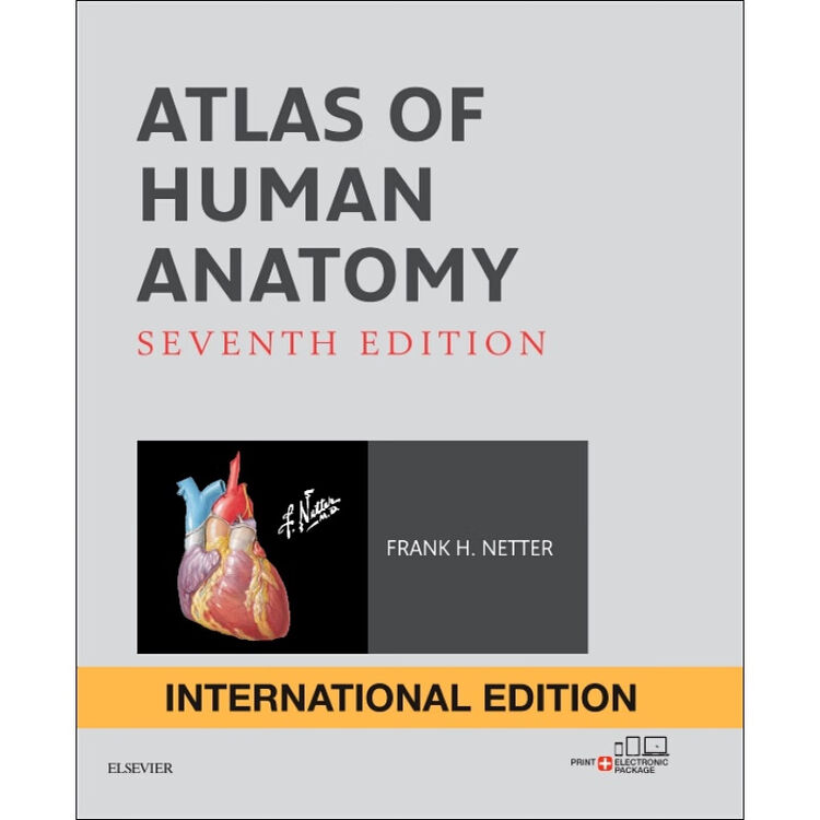 Atlas of Human Anatomy, International Edition人体解剖【图片 价格 品牌 评论】-京东