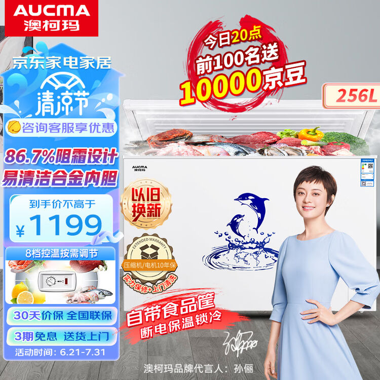 澳柯玛（AUCMA）256升家用冰柜 86.7%阻霜 商用单温冷柜 冷藏冷冻柜 母乳囤货冰箱 一级能效 BC/BD-256NE 以旧换新【图片 价格 品牌 评论】-京东