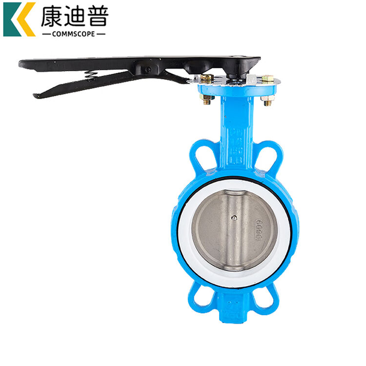 康迪普 对夹蝶阀软密封手柄式蝶阀 D71X-16 手动蝶阀 DN100-四氟不锈钢板【图片 价格 品牌 评论】-京东