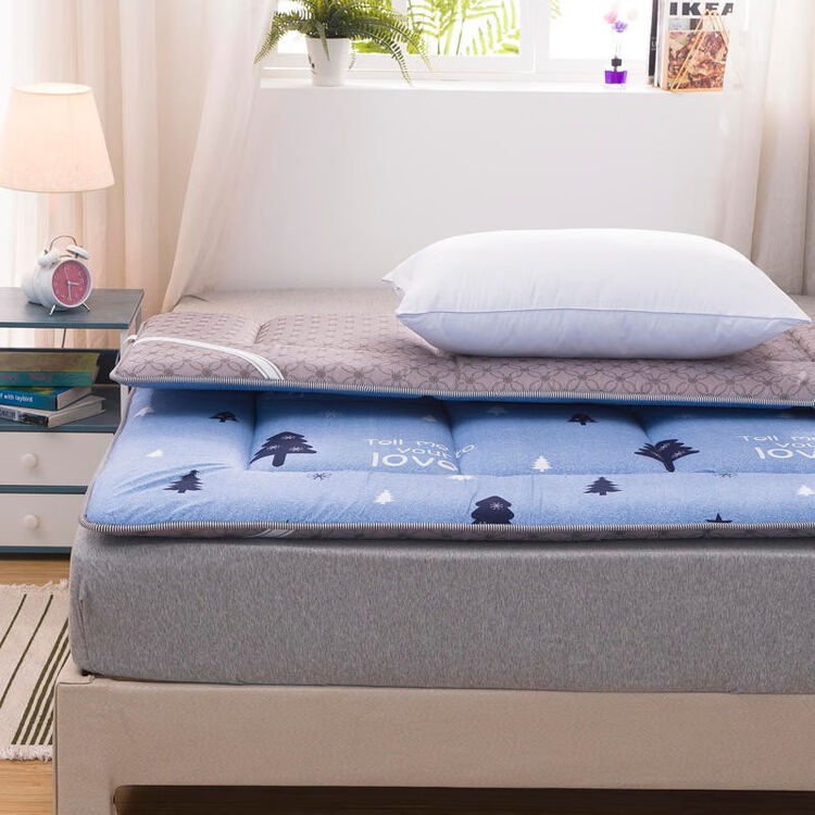 Buy Double pro home textile college student Dormitory mattress up and ...