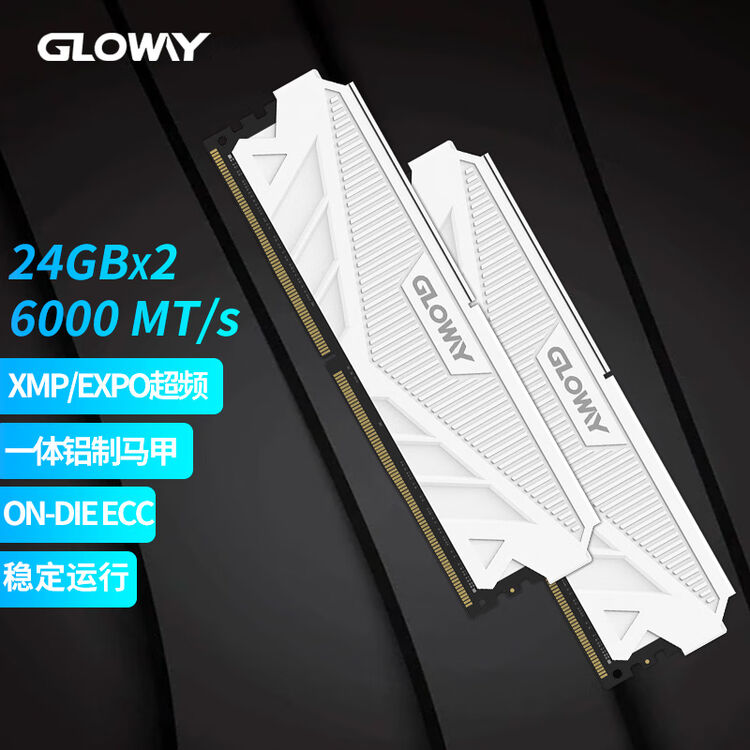 光威（Gloway) 48GB(24GBx2)套装 DDR5 6000 台式机内存 天策系列 【图片 价格 品牌 评论】-京东