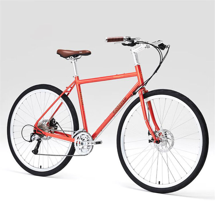 橙央长途旅行自行车新款不死骑BOSKEY旅行车铬钼钢架城市车长途重装旅 【新款碟刹】焦糖色S码一台 基础【图片 价格 品牌 评论】-京东