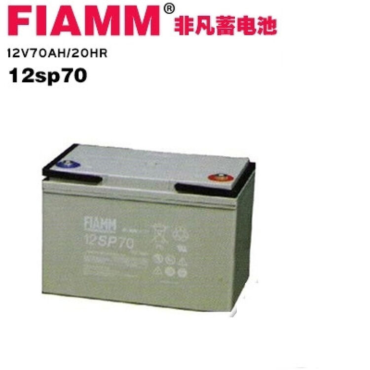 非凡蓄电池FIAMM 12SP72 非凡蓄电池12V70AH铅酸免维护UPS蓄电池【图片 价格 品牌 评论】-京东