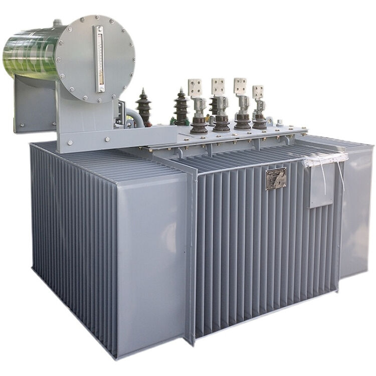 S13-M-100KVA油浸式电力变压器高压三相S11有载调压S9-160KVA油变 s9全铝 s9全铝【图片 价格 品牌 评论】-京东