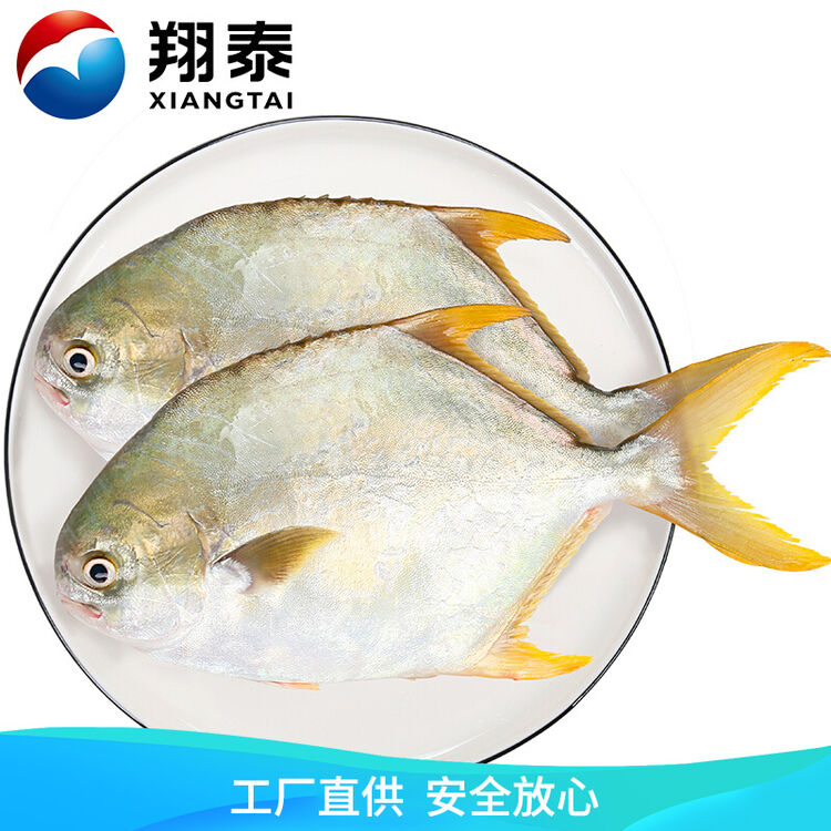 翔泰 国产海南金鲳鱼500g（2条）深海养殖捕捞 无公害认证 全程可追溯 鱼类 生鲜 BAP认证 海鲜水产【图片 价格 品牌 评论】-京东