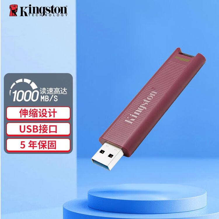 金士顿（Kingston） DTMAX 固态U盘USB3.2移动固态高速传输大容量闪存优盘 256GB (USB接口 读1000MB/s)【图片 价格 品牌 评论】-京东