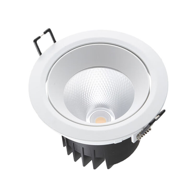 鑫磐基 99LED天花灯开孔120 嵌入式COB射灯 24W-3500K/24°NLED1506 单位：个【图片 价格 品牌 评论】-京东