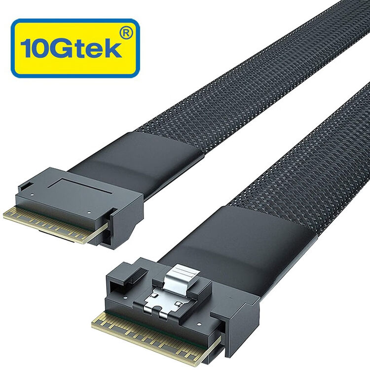 万兆通(10Gtek) MINISAS SAS线 SFF-8654转8654 8i 100ohm 服务器硬盘磁盘数据阵列线 直头转直头 0.1 ...