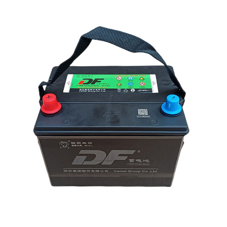 骆驼（CAMEL）DF系列免维护铅酸蓄电池58500同6-QW-65min 12V 48AH（不收旧）【图片 价格 品牌 评论】-京东