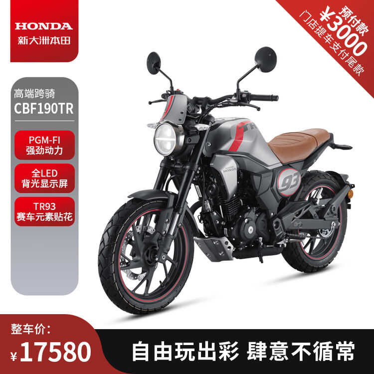 新大洲本田CBF190TR 跨骑复古摩托车特别款 预付门店提车 特别银灰整车17580 碟/脚/ABS【图片 价格 品牌 评论】-京东