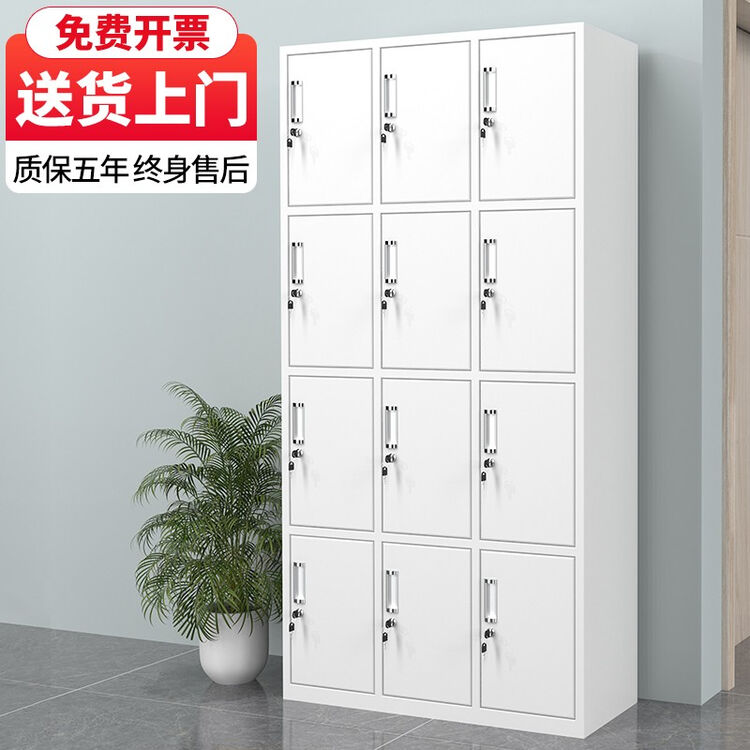 藤科 更衣柜员工柜铁皮柜带锁储物柜宿舍更衣室柜子浴室寄存包柜鞋柜 十二门更衣柜 豪华型【图片 价格 品牌 评论】-京东