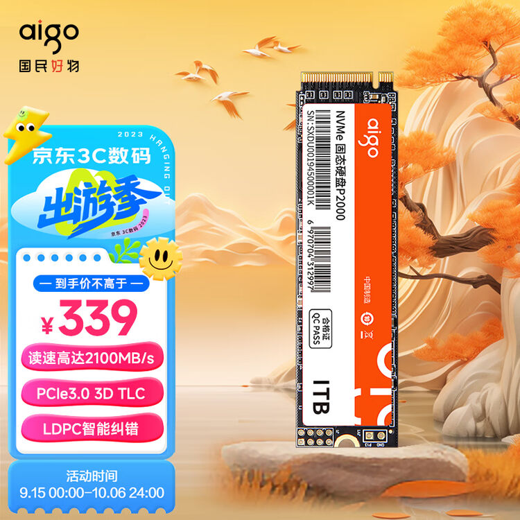 爱国者 (aigo) 1TB SSD固态硬盘 M.2接口(NVMe协议) PCIe四通道 P2000 读速高达2100MB/s【图片 价格 品牌 评论】-京东