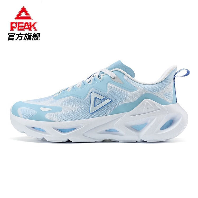 匹克（PEAK）男鞋风洞2.0跑步鞋2023新款夏季透气运动鞋缓震跑鞋休闲男士跑鞋 矢车菊蓝 45【图片 价格 品牌 评论】-京东