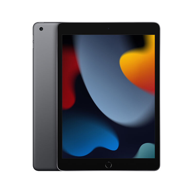 Apple iPad 10.2英寸平板电脑 2021年款（256GB WLAN版/A13芯片/1200万像素/iPadOS MK2N3CH/A ...