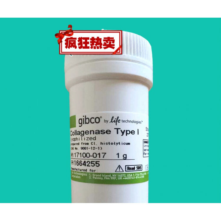 \17100-017 Collagenase 胶原酶I 1g GIBCO\17100-017【1g】【图片 价格 品牌 评论】-京东