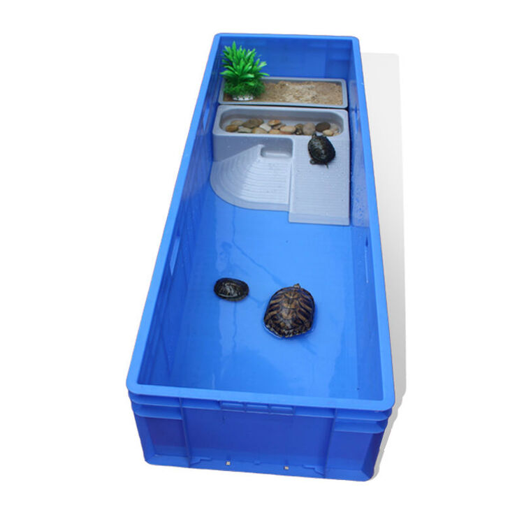 Buy Tortoise Cylinder Belt sundeck oversized water turtle cylinder ...