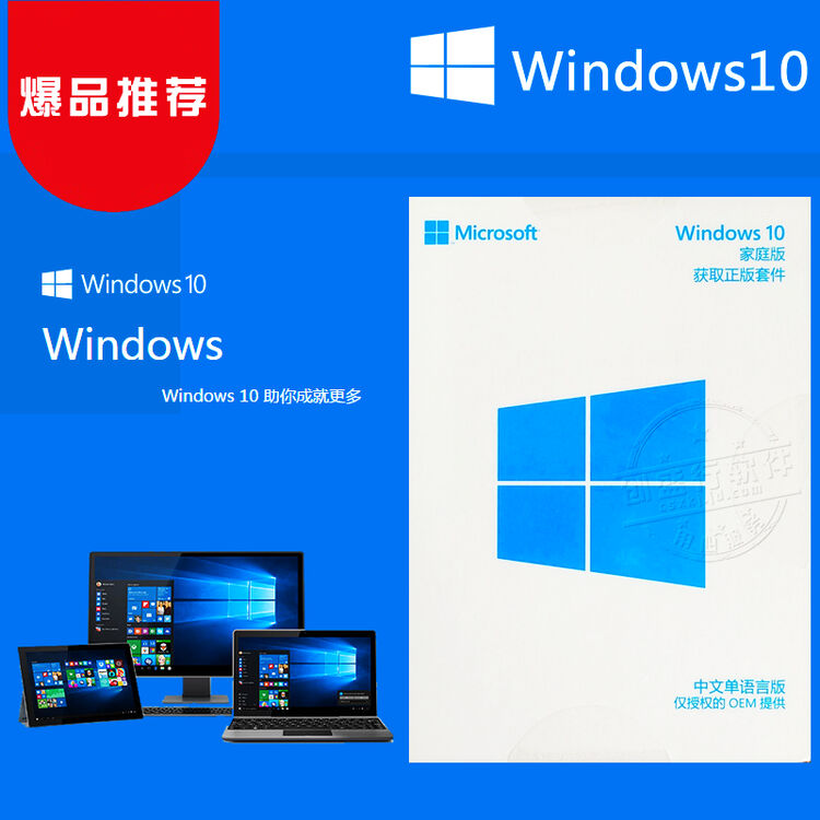 微软（Microsoft） Win10系统正版windows10家庭版/专业版/企业版WIN10U盘 中文/英文专业版/实物64位3.0U盘 无票【图片 价格 品牌 评论】-京东