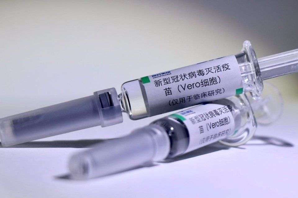 文献综述：新型冠状病毒疫苗-京东健康