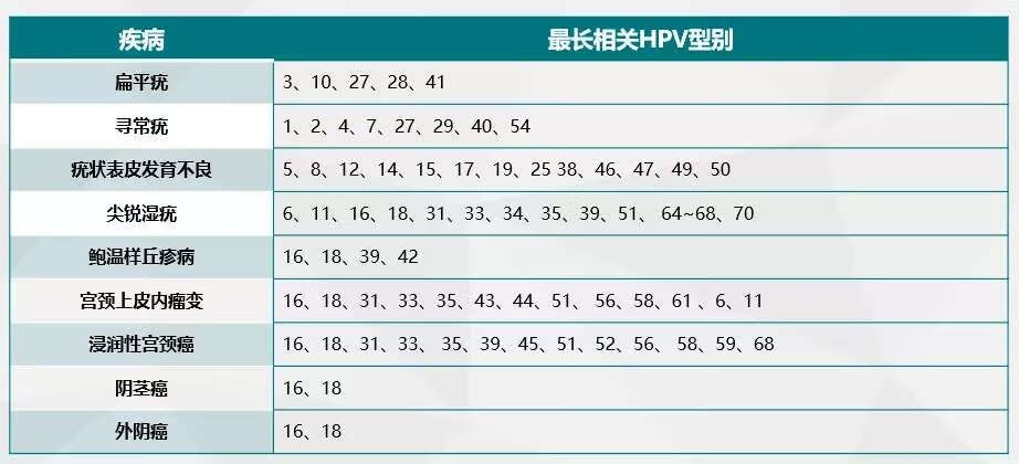 HPV阳性怎么办？先搞懂这6个问题-京东健康