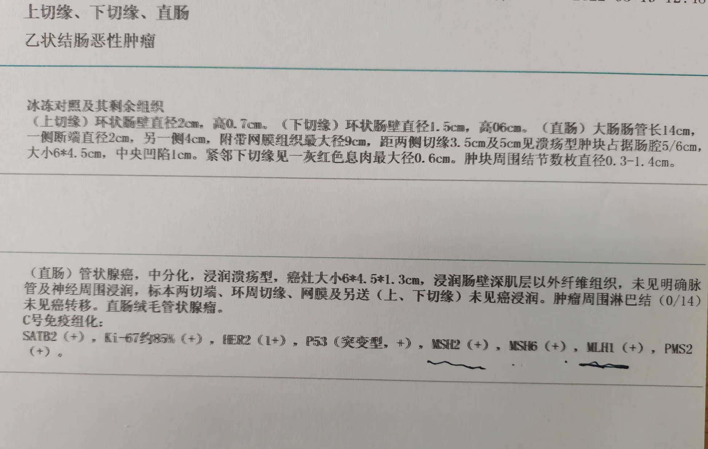 一文让你了解不稳定性MSI及MMR-京东健康